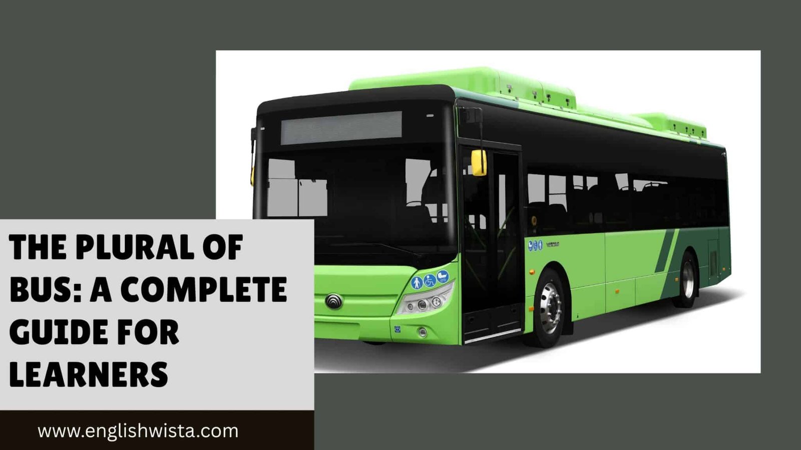 The Plural of Bus: A Complete Guide for Learners - English Wista