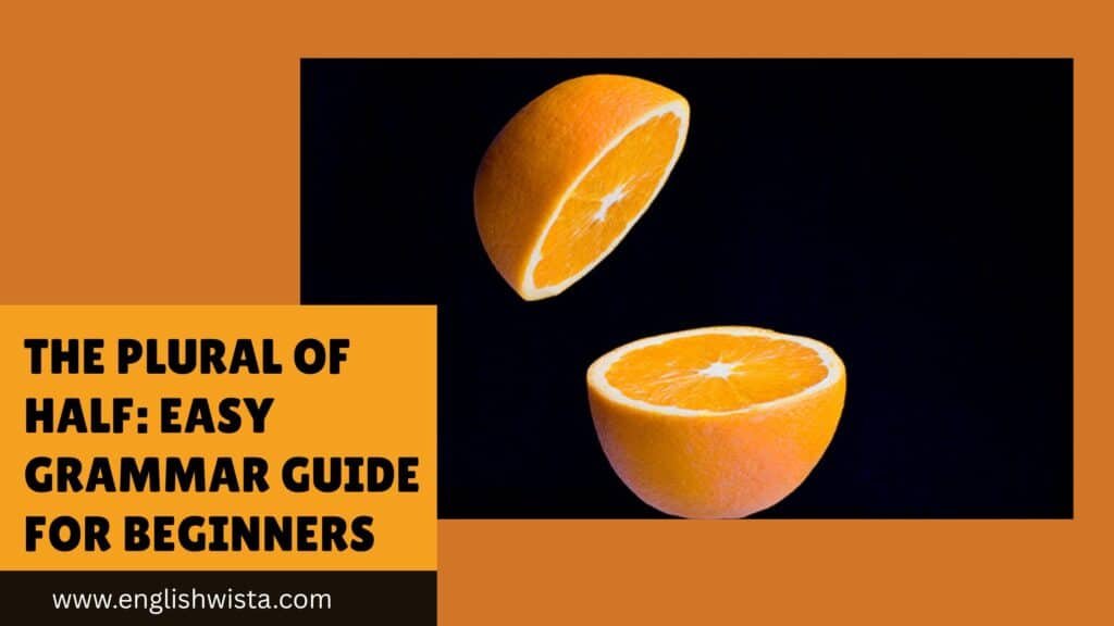 The Plural of Half: Easy Grammar Guide for Beginners - English Wista