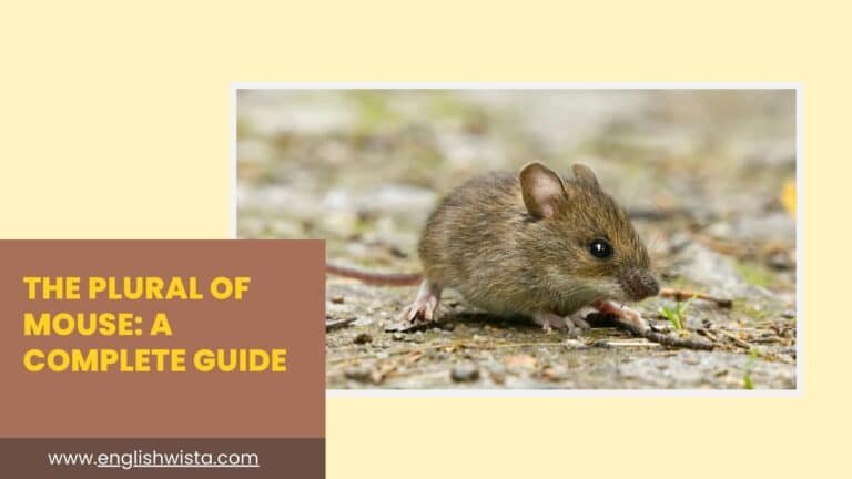 The Plural of Mouse: A Complete Guide - English Wista