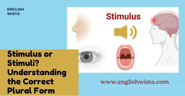 Stimulus or Stimuli? Understanding the Correct Plural Form - English Wista