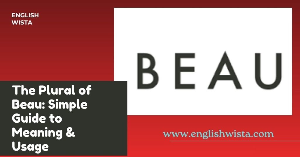 The Plural of Beau: Simple Guide to Meaning & Usage - English Wista