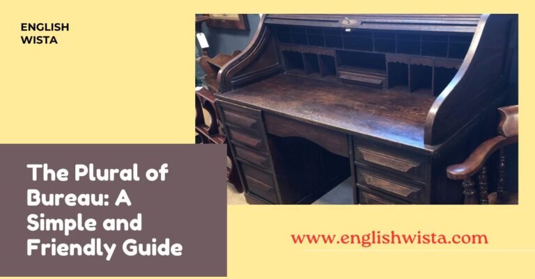 The Plural of Bureau: A Simple and Friendly Guide - English Wista