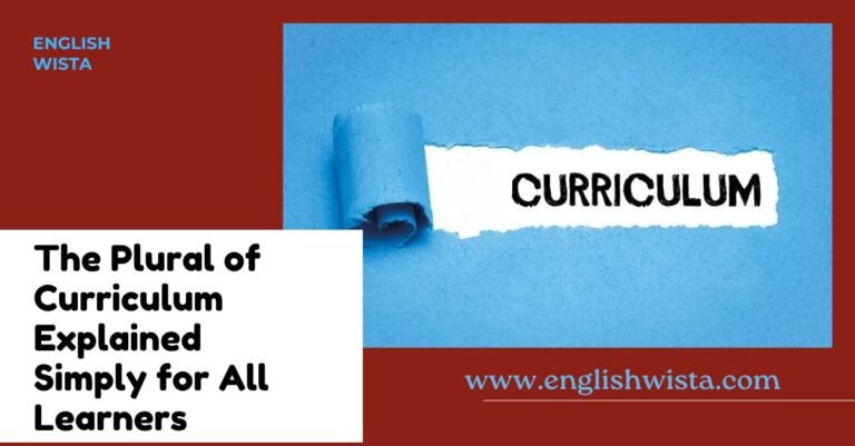 The Plural of Curriculum Explained Simply for All Learners - English Wista