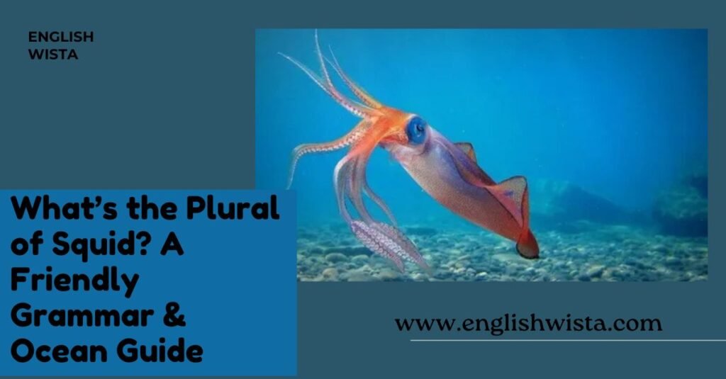What’s the Plural of Squid? A Friendly Grammar & Ocean Guide - English ...